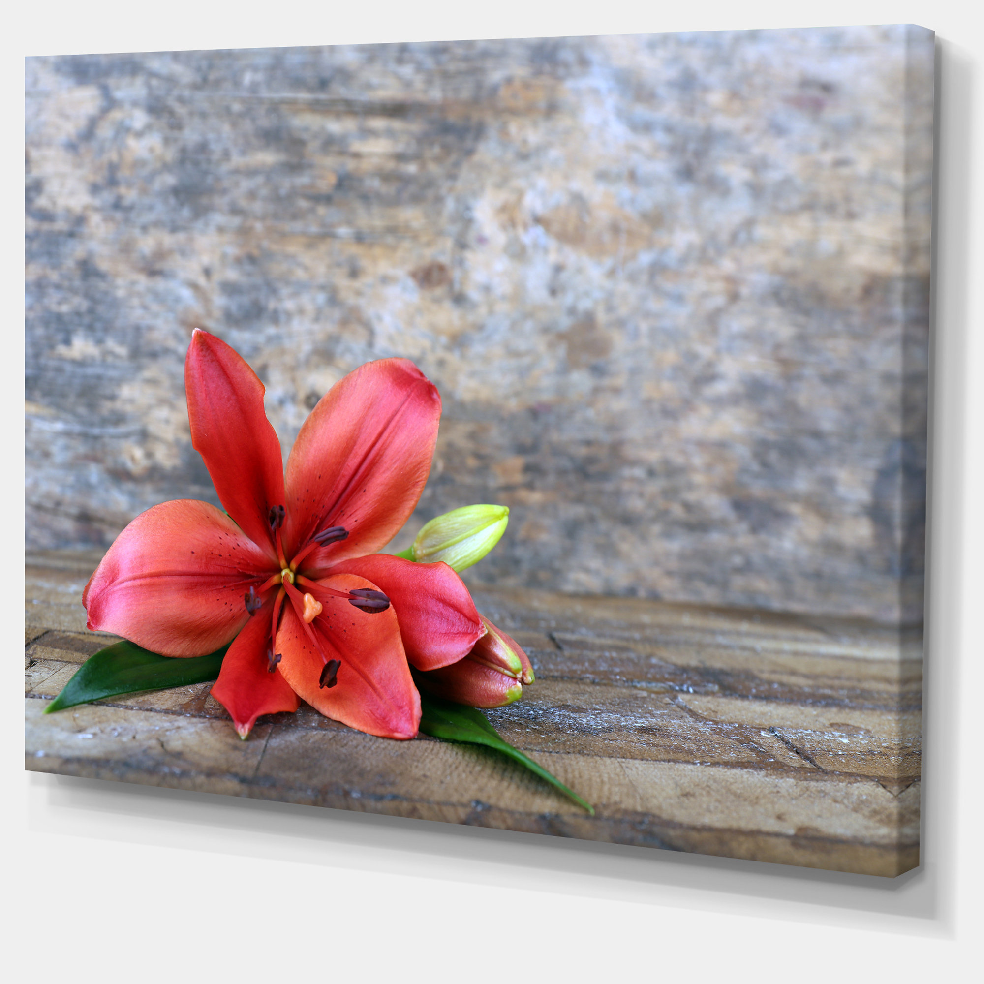 Design Art Beautiful Fallen Red Lily Flower - Wrapped Canvas Photograph ...
