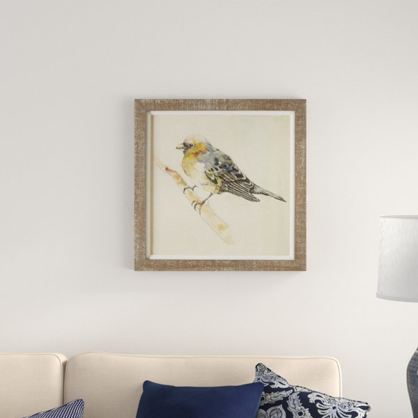 Chelsea Art Studio 'Petite Bird' Framed Graphic Art Print III & Reviews ...