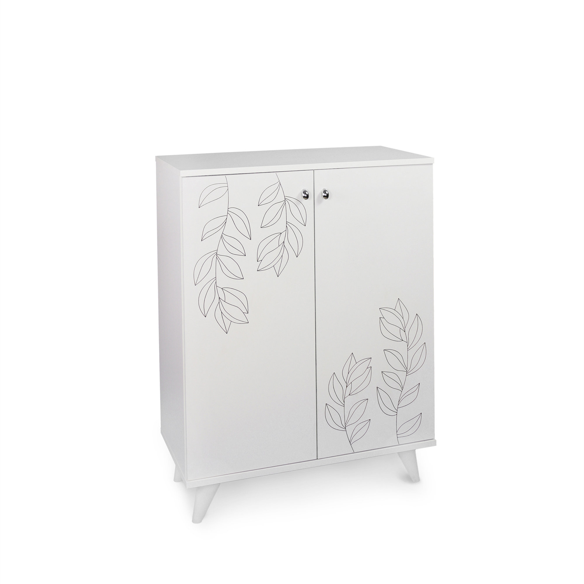 Hokku Designs Valeria Wood Base Shoe Cabinet | Wayfair