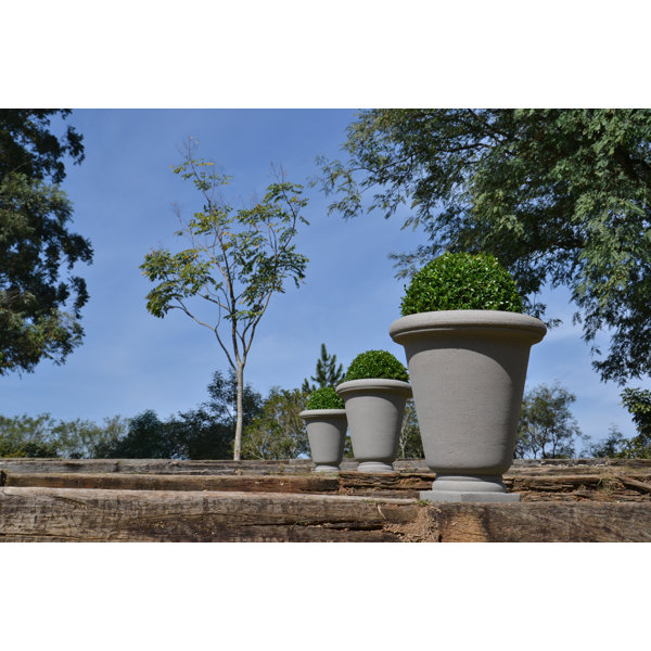 Japi Pottery Pot Planter - Wayfair Canada