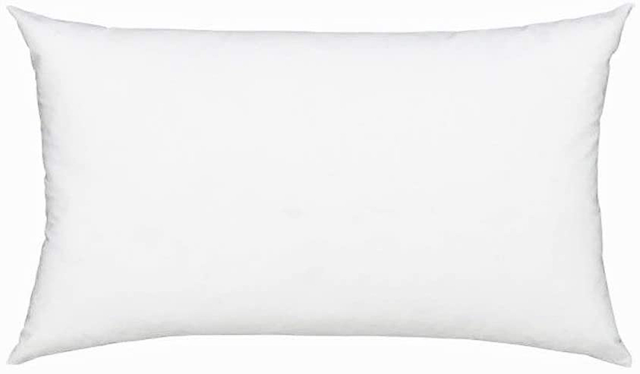 Fennco Styles White Premium Polyester Pillow Insert Square | Wayfair