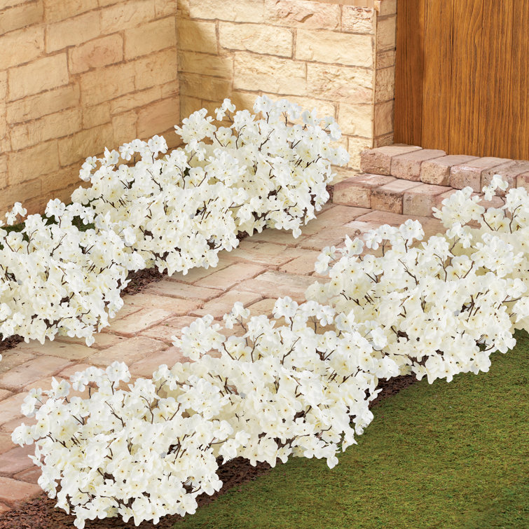 Primrue Cherry Blossom Bush | Wayfair