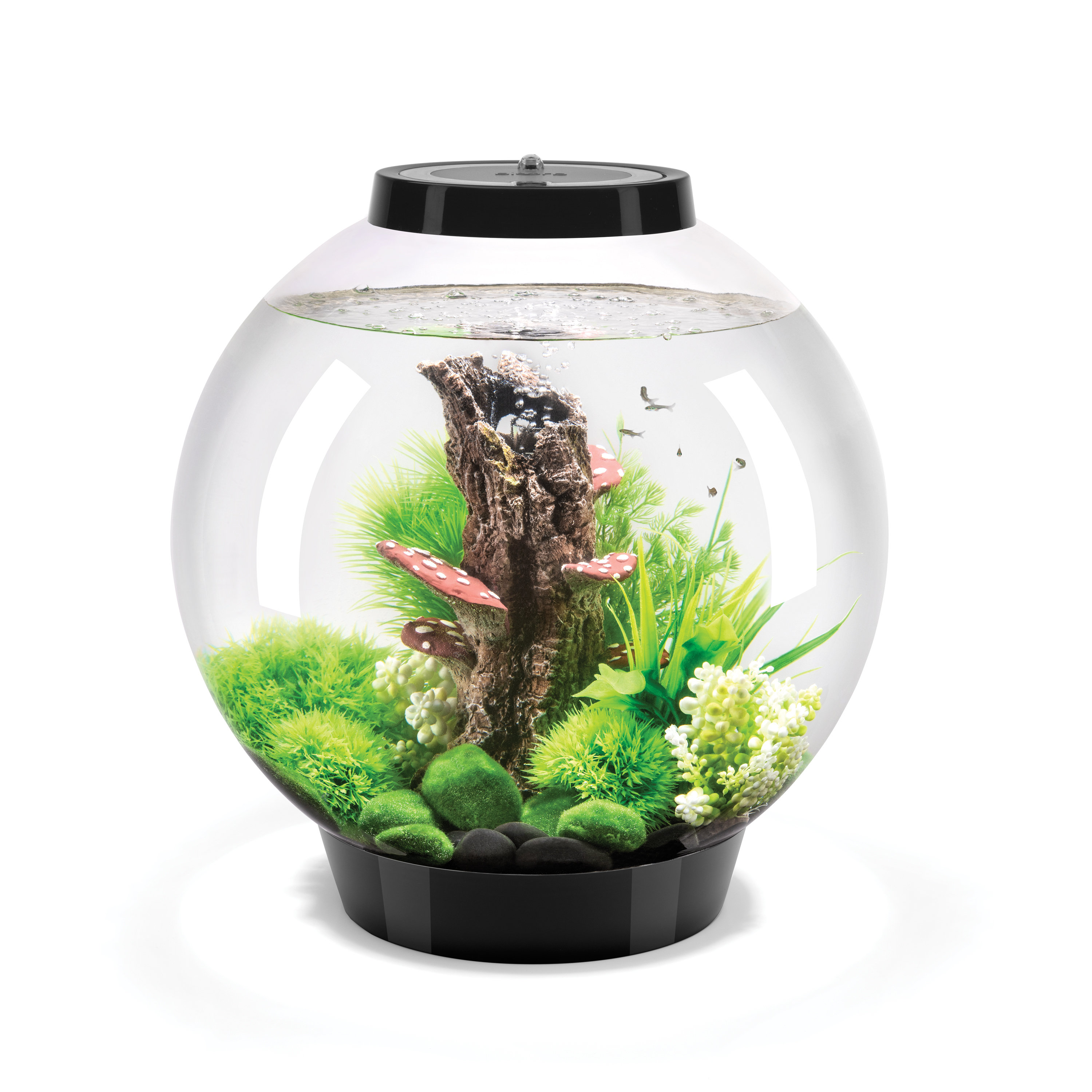 biOrb CLASSIC 30 8 Gallon Round Aquarium Tank with MCR Light - Wayfair ...