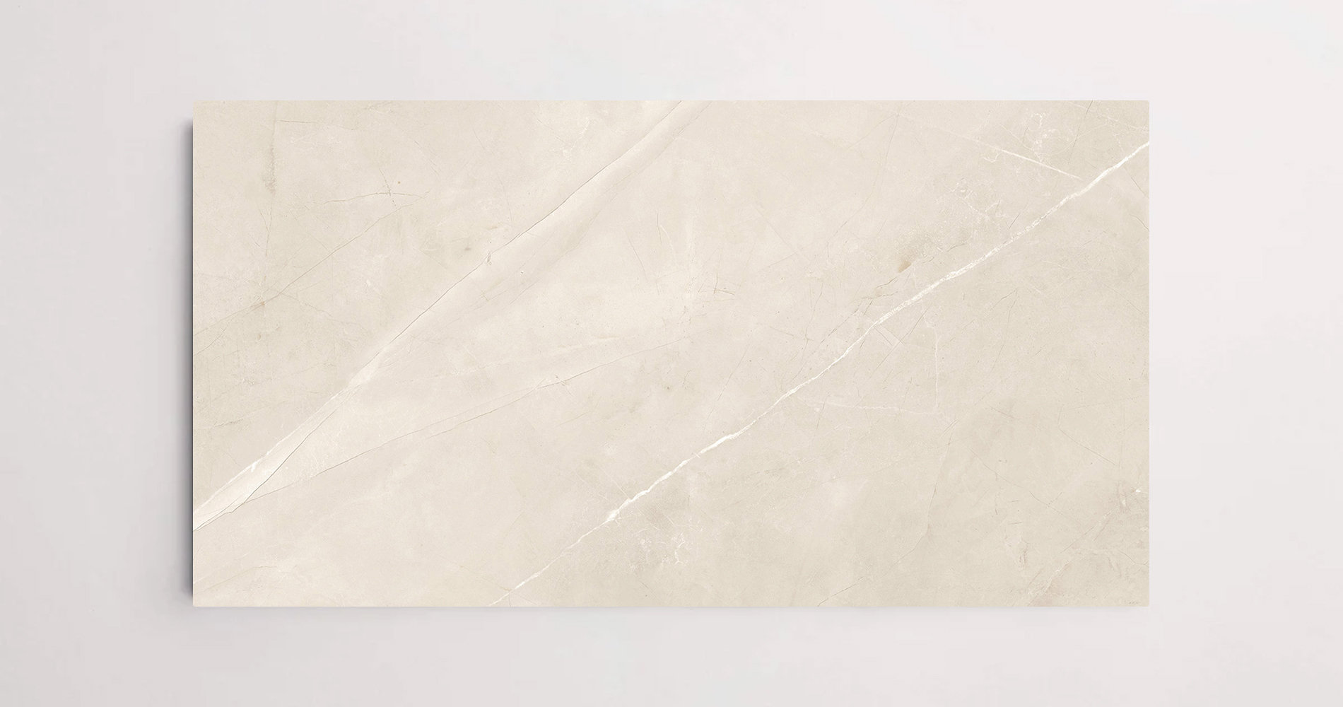 Nasco Stone + Tile Magi 12" x 24" Matte | Birch Lane