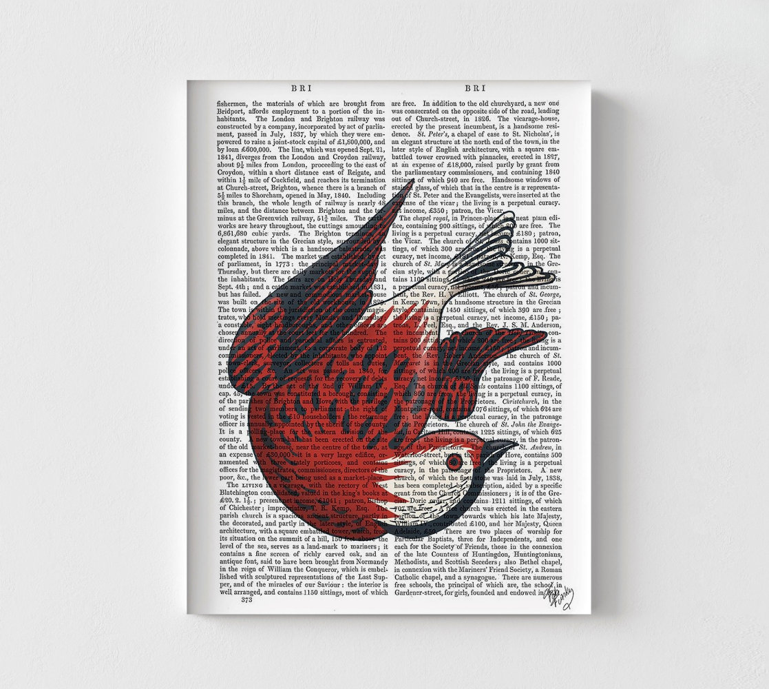 WeFrameArt Sideshow Bird 5 Book Print By Fab Funky, Red Bird Poster ...