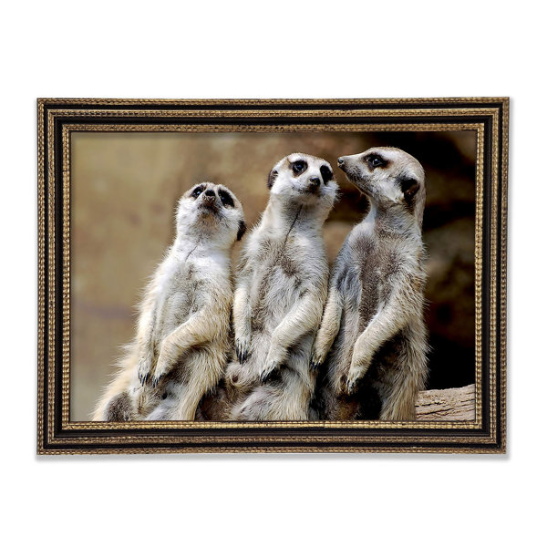 Ebern Designs Trio Of Leaning Meerkats - Single Picture Frame Print ...