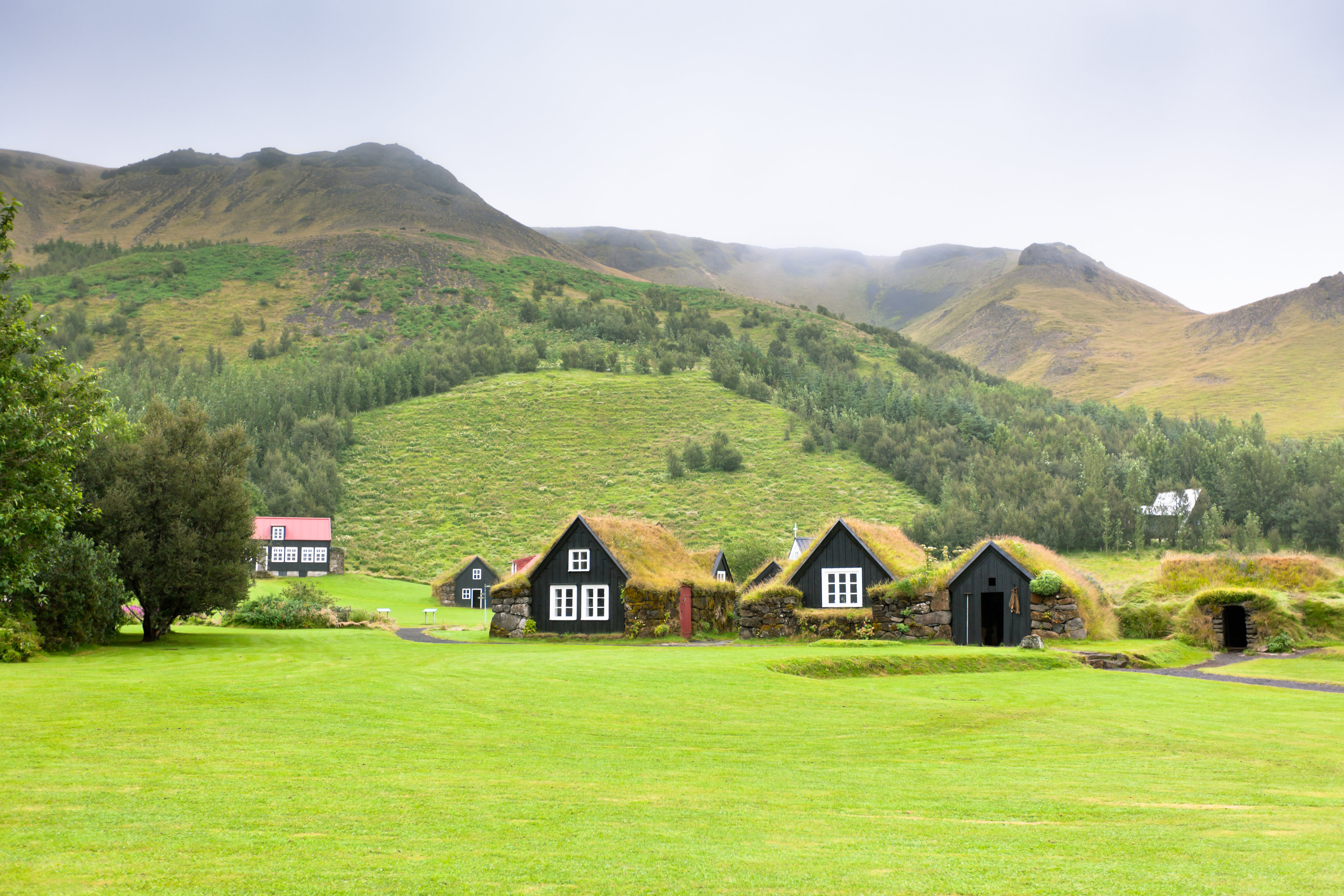 Millwood Pines Rural Icelandic Houses by Oleksajewicz - Wrapped Canvas ...