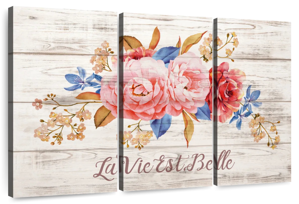 Ebern Designs Tergel La Vie Est Belle Typography | Wayfair