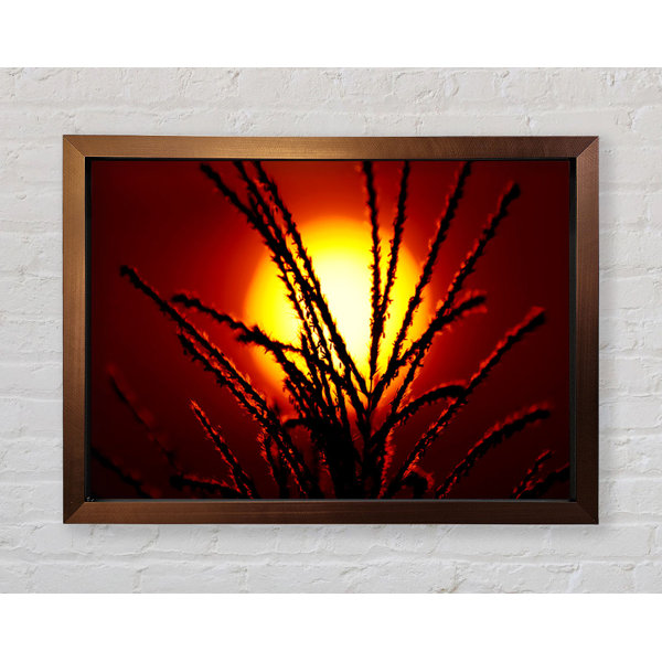 Ebern Designs As The Sun Lights Up The Reeds - Single Picture Frame Art ...
