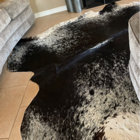 Union Rustic Bullis Cowhide Rug & Reviews | Wayfair