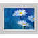 Rosalind Wheeler Daisy Midnight Blues - Single Picture Frame Print ...