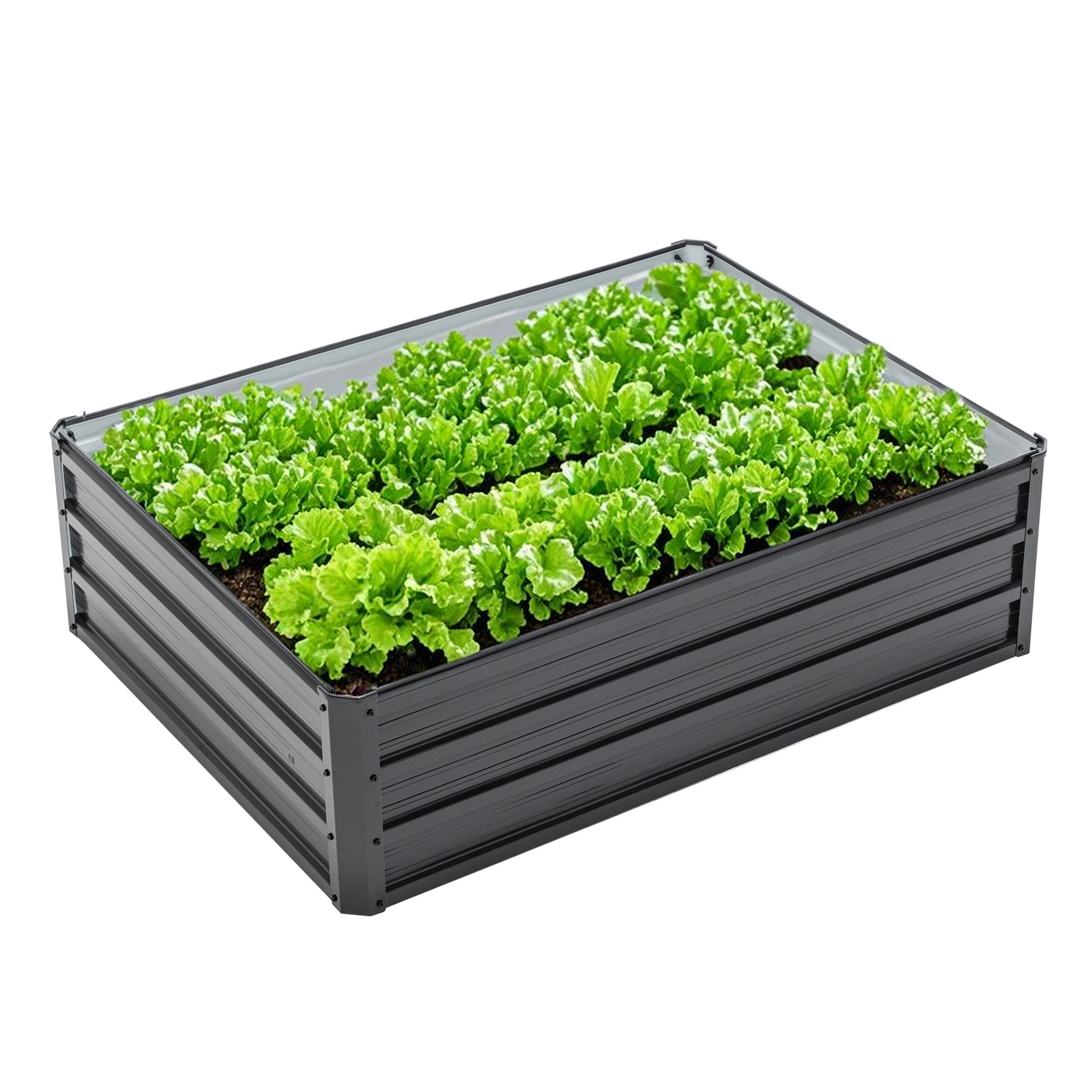 Arlmont & Co. 4X3x1 Foot Metal Elevated Garden Bed, Deep-Rooted Outdoor ...