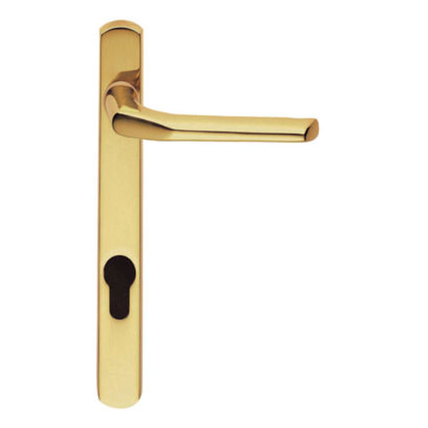 Manital Narrow Plate Multipoint Euro Profile Lock Door Handle | Wayfair ...