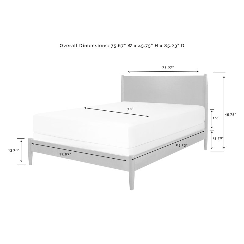 AllModern Stiles Bed & Reviews | Wayfair