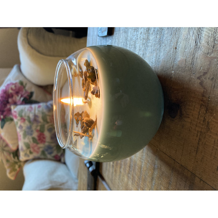 Brayden Studio Calliandra Sea Kelp & Driftwood Scented Jar Candle ...