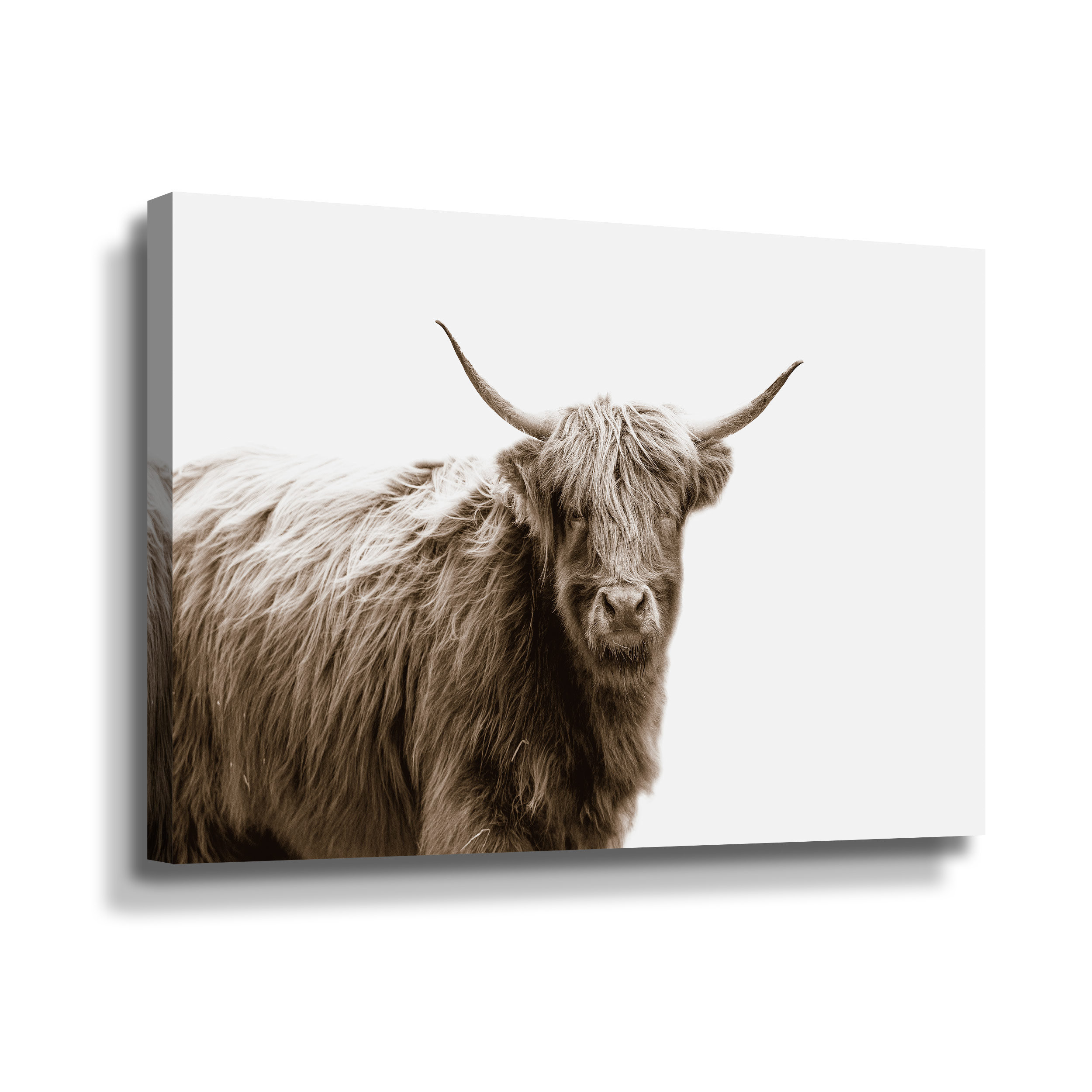 Union Rustic Highland Portrait " Highland Portrait " Painting Print ...