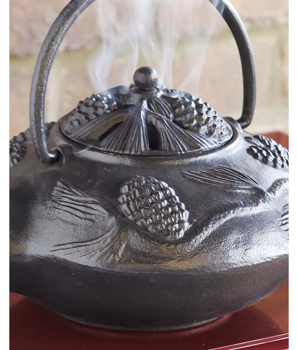 Plow & Hearth Pinecone Steamer & Reviews | Perigold