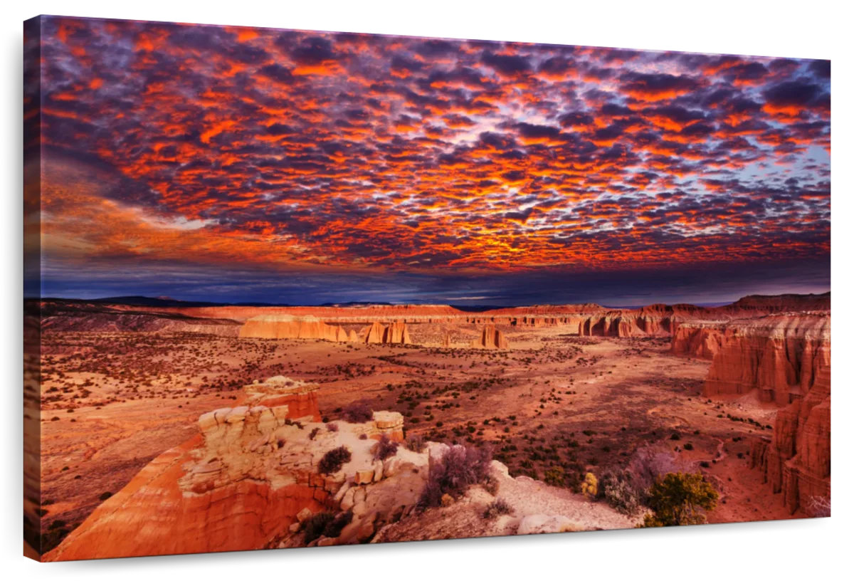 Millwood Pines Alvord Capitol Reef National Park Landscape | Wayfair