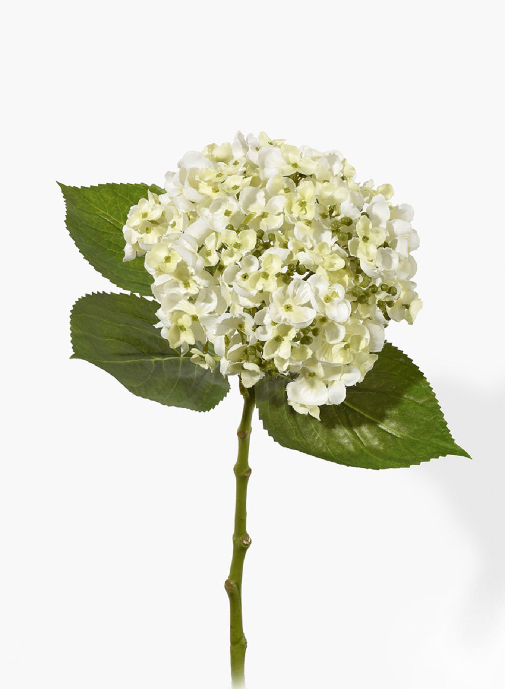 Rosecliff Heights Hydrangeas Spray | Wayfair