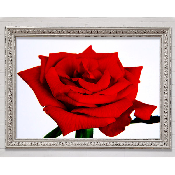 Ebern Designs Single Picture Frame Print | Wayfair.co.uk