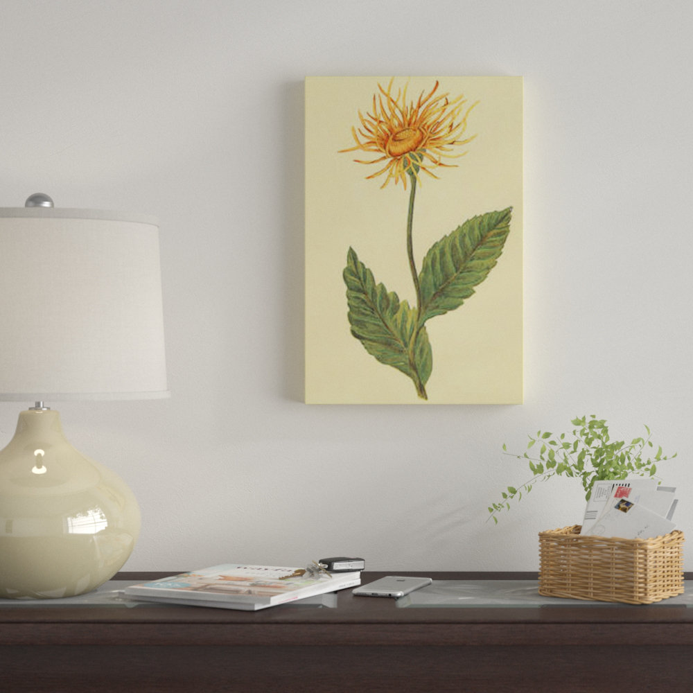 East Urban Home 'Ellecampane' Print on Canvas | Wayfair