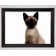 Bright Star Kitten Mischief - Single Picture Frame Print | Wayfair.co.uk