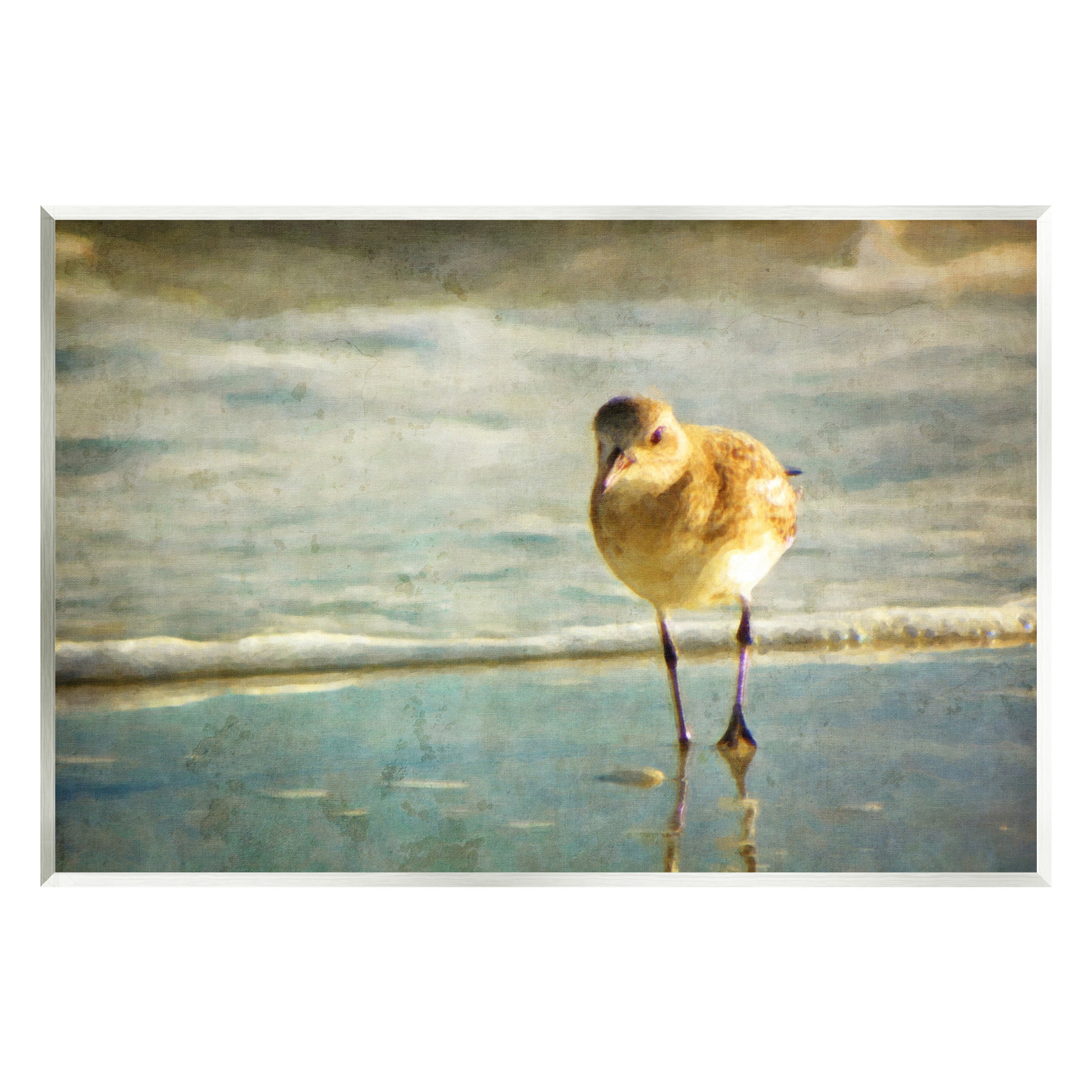 Highland Dunes Stepping Sandpiper at Shore Wall Plaque Art by GraffiTee ...