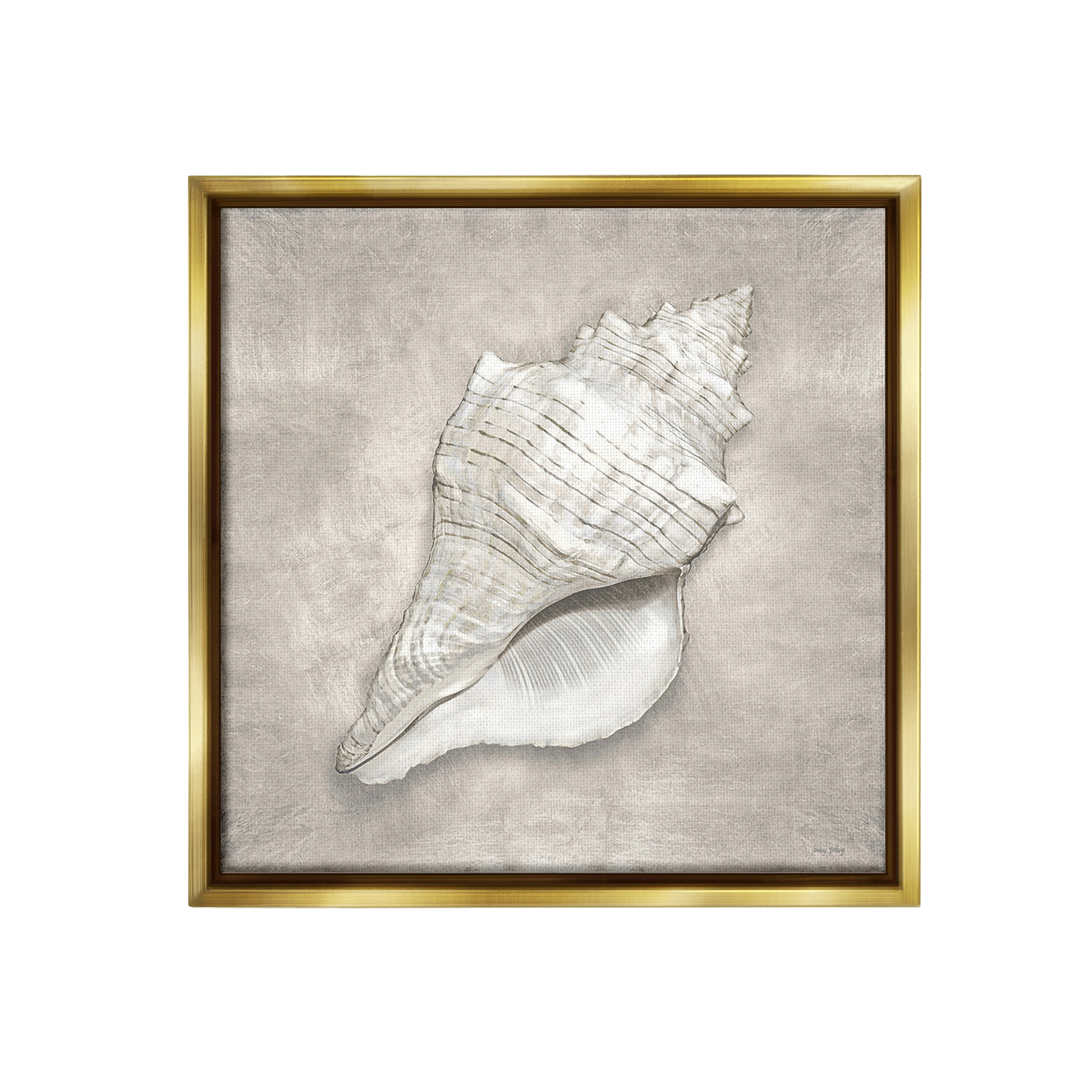 Highland Dunes " Rustic Grey Conch Shell Floater Frame " by Amber ...