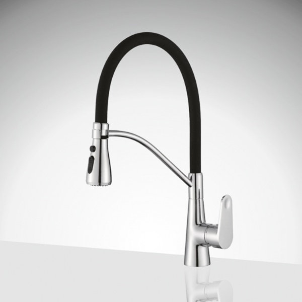 Royal Legend® Pull Down Kitchen Faucet | Wayfair