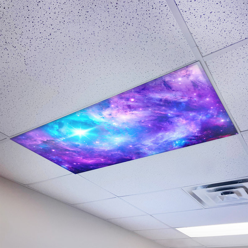 Octo Lights Astronomy - Magnetic Fluorescent Light Cover for Ceiling ...