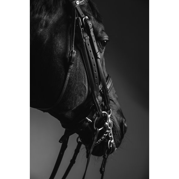 Gracie Oaks Desaray Horse Wearing Saddle On Canvas Photograph | Wayfair
