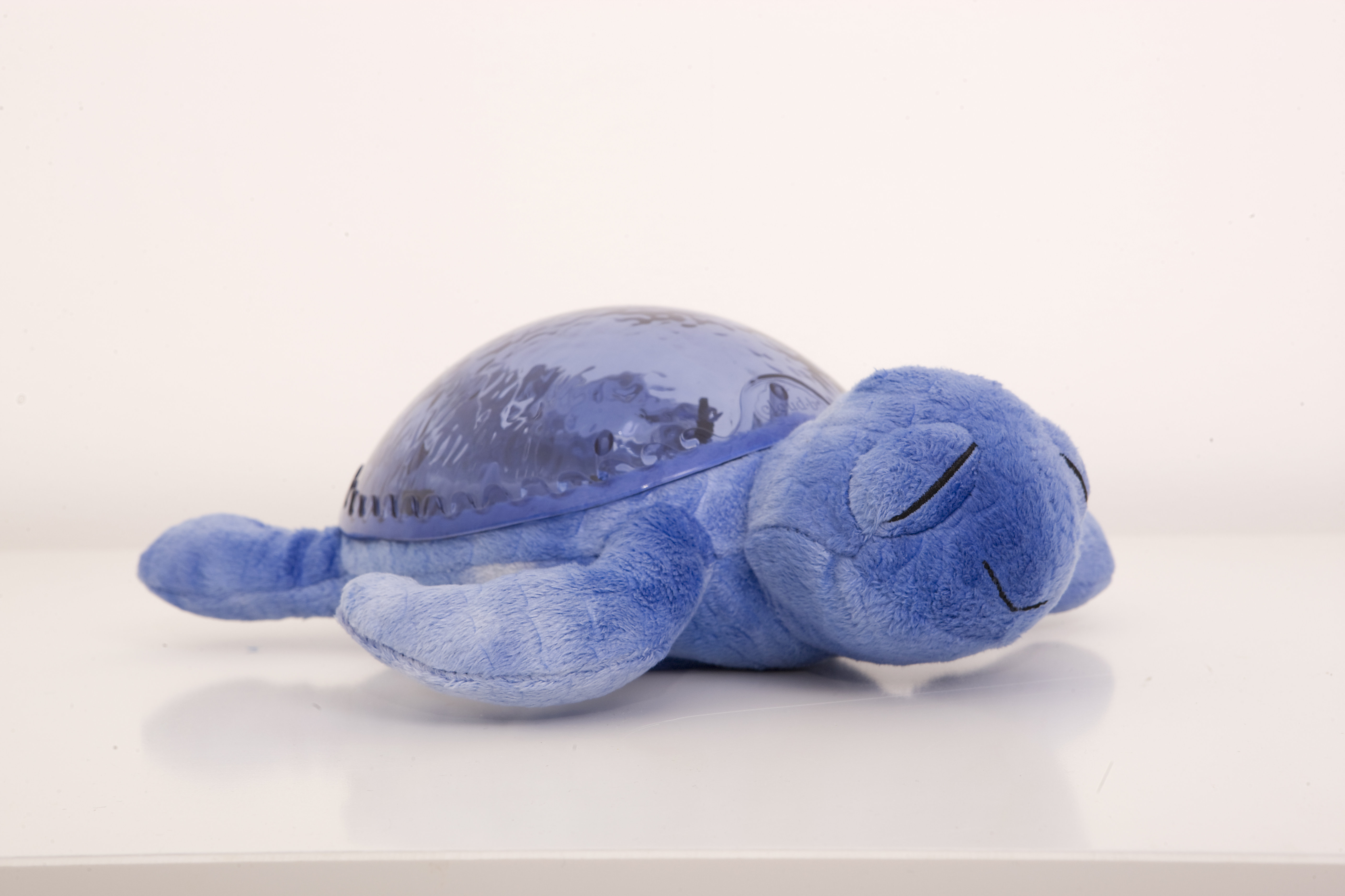 Cloud B Tranquil Turtle - Rechargeable | Wayfair