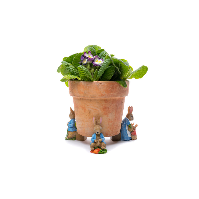 Jardinopia Beatrix Potter Peter Rabbit Coloured Planter Feet In Gift ...