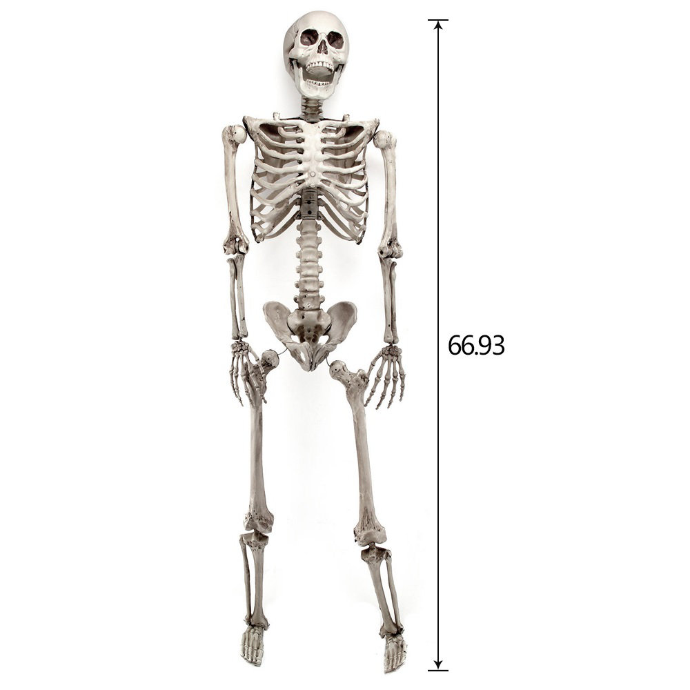 The Twillery Co.® Halloween Poseable Human Skeleton Props Party Decor ...