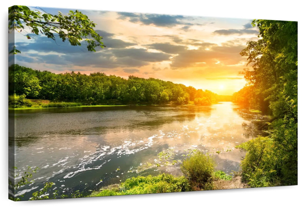 Elephant Stock Sunny River | Wayfair