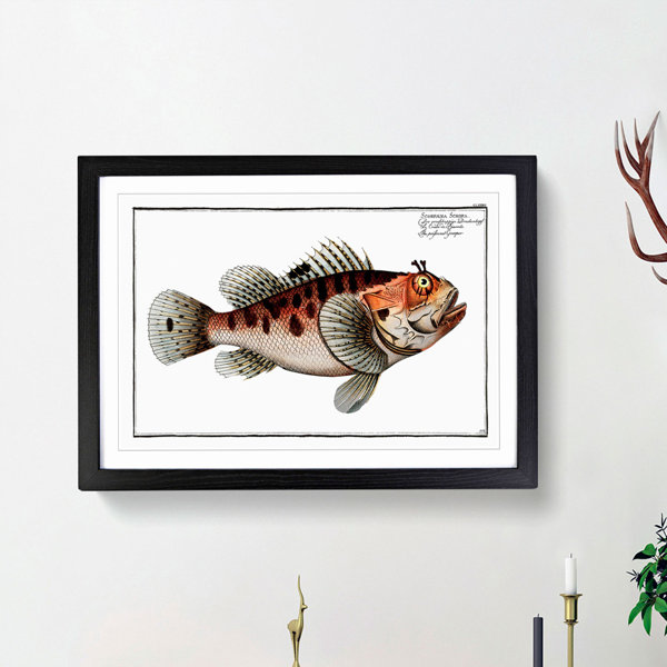 East Urban Home Poisonnet Grouper Fish by M.E. Bloch - Picture Frame ...