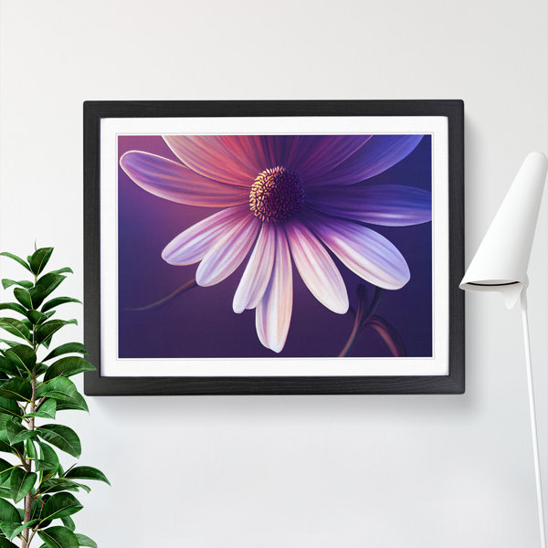 17 Stories XH1022-9673X Virtuous Daisy Flower - Single Picture Frame ...