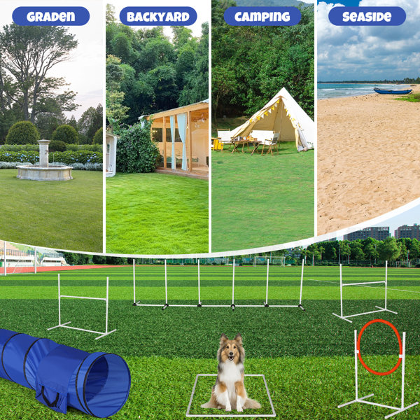 Awevsco 5 PCS Dog Agility Training Equipment, Adjustable High Hurdles ...