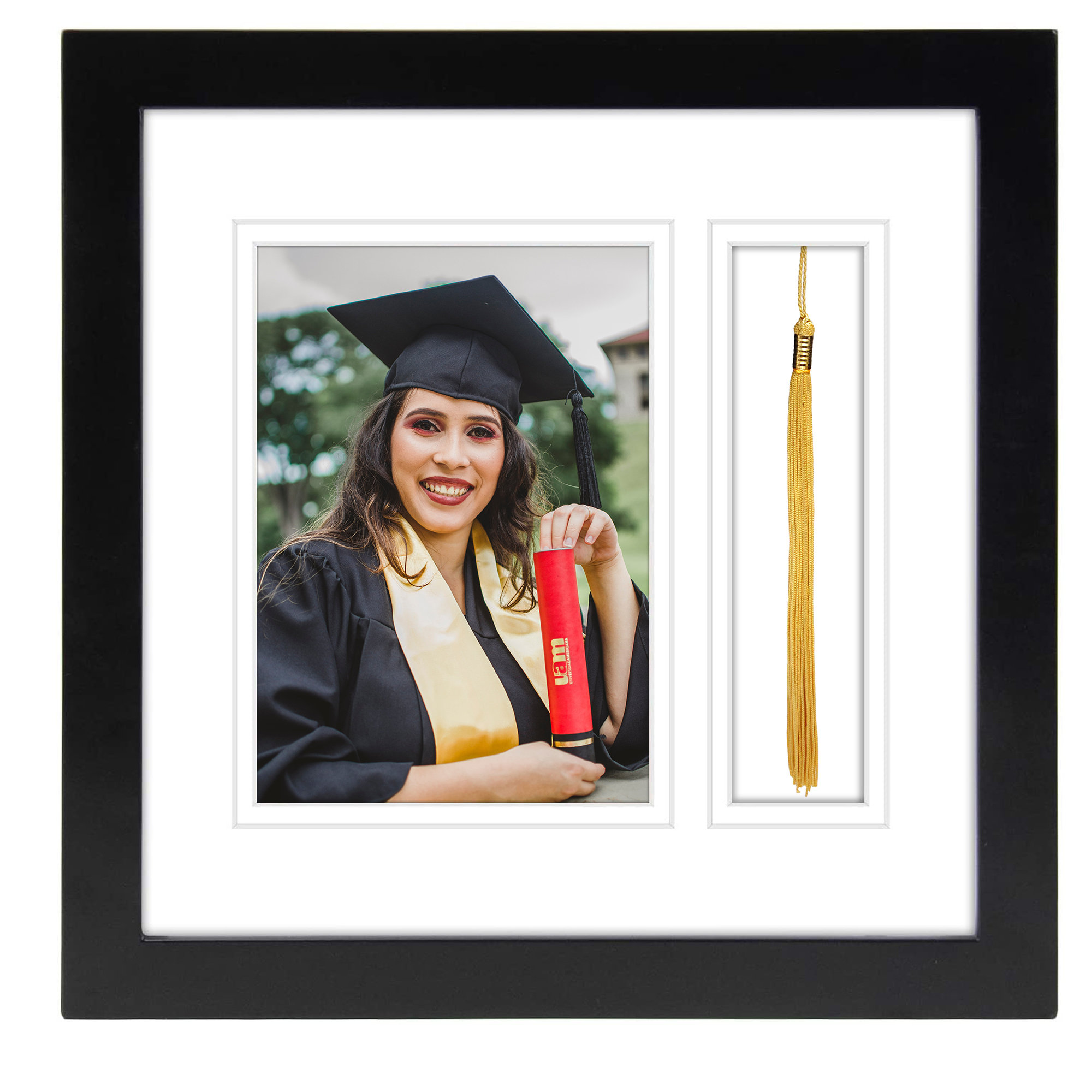 Latitude Run® Black Wood Diploma Picture Frame | Wayfair