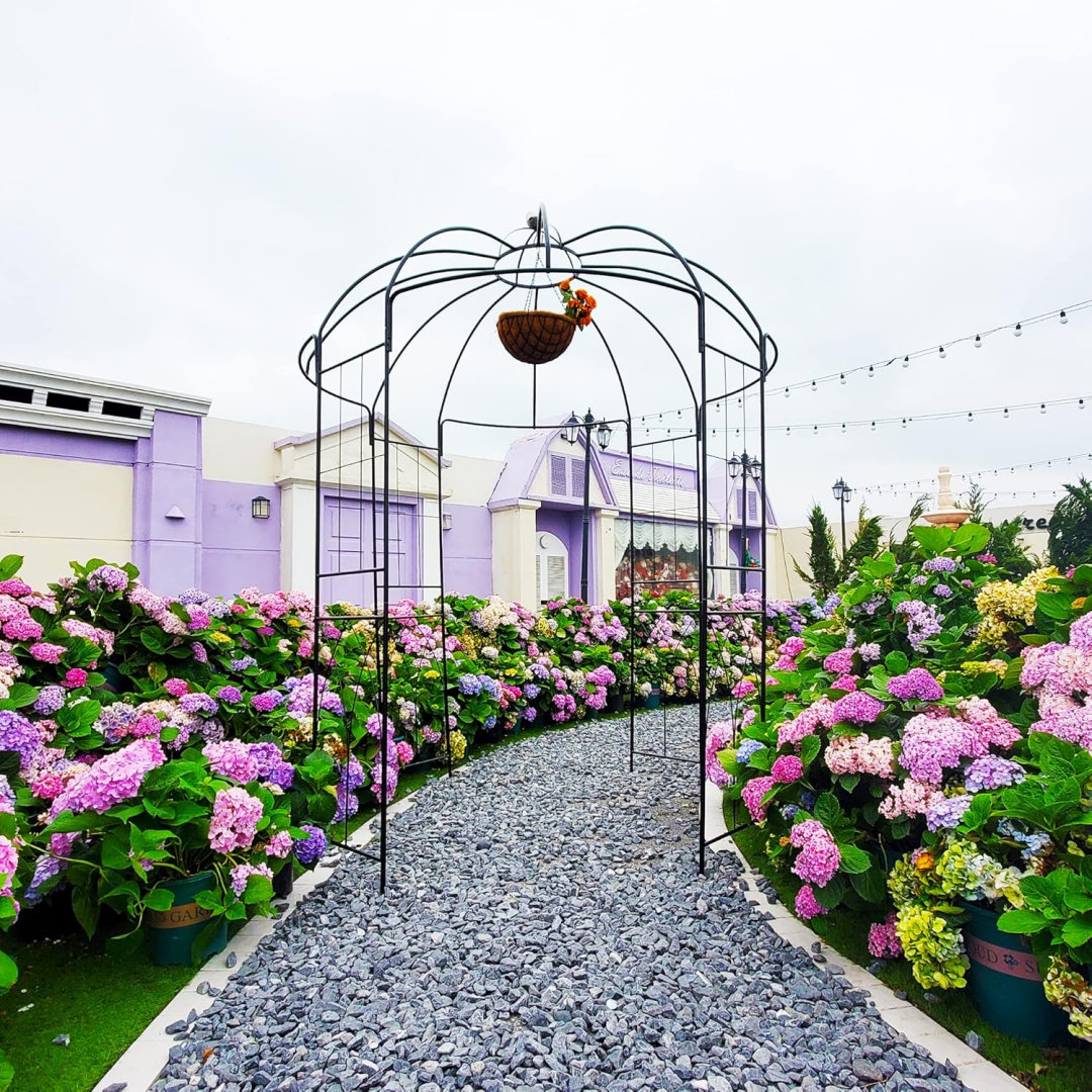 CUSTOM BUILT-IN VACUUM SYSTEMS Arches Arbors Birdcage Shape,9' High X 6.8' Wide,Metal Pergola ...