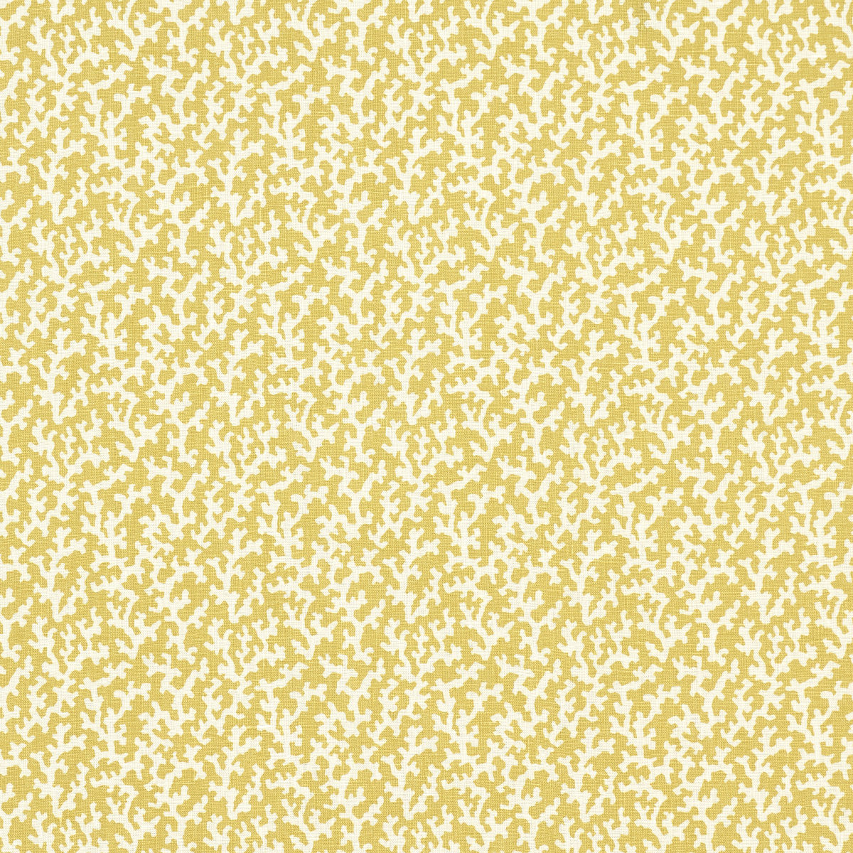 Schumacher X Veere Grenney Folly Fabric | Wayfair