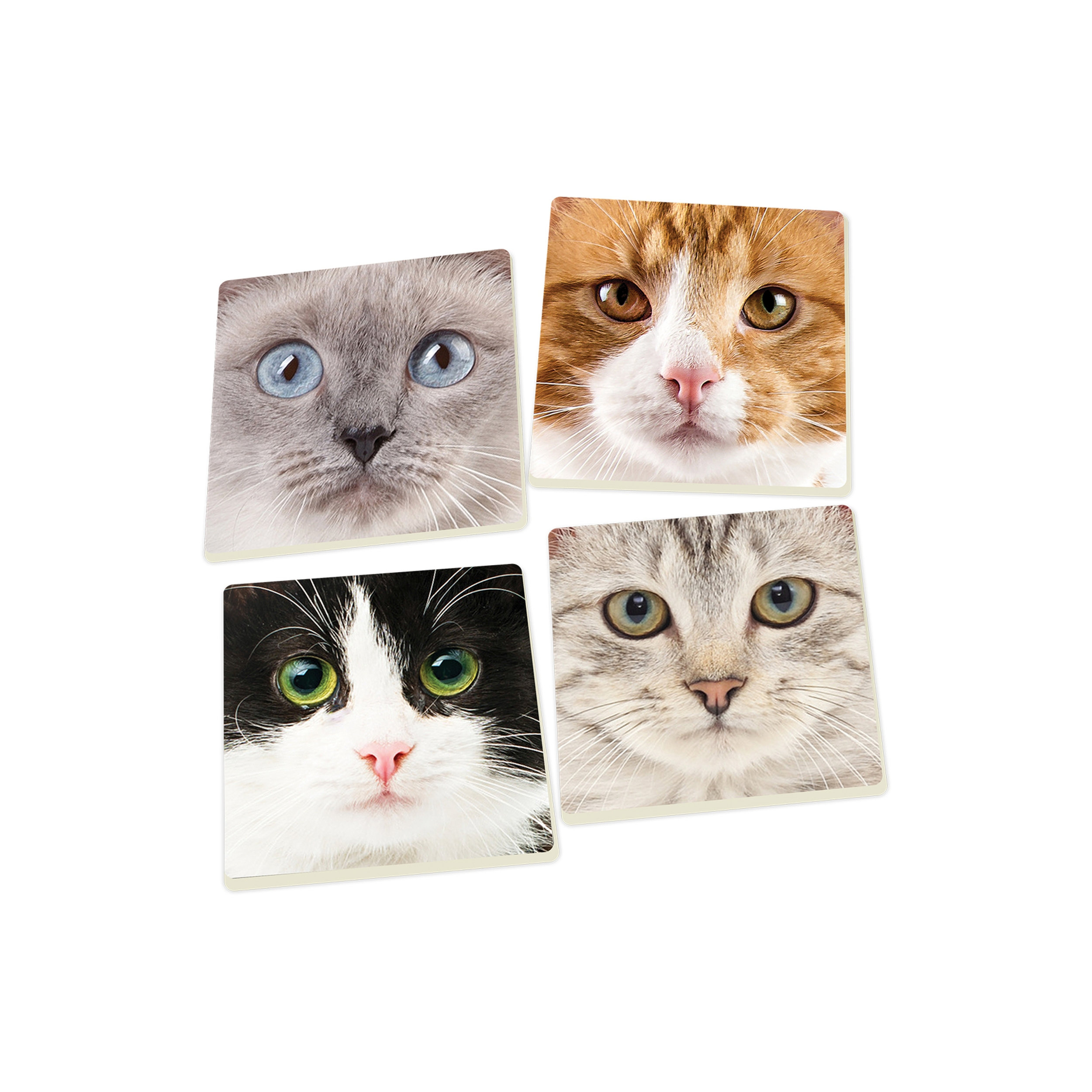 East Urban Home Cats 4 Piece Coaster Set | Wayfair