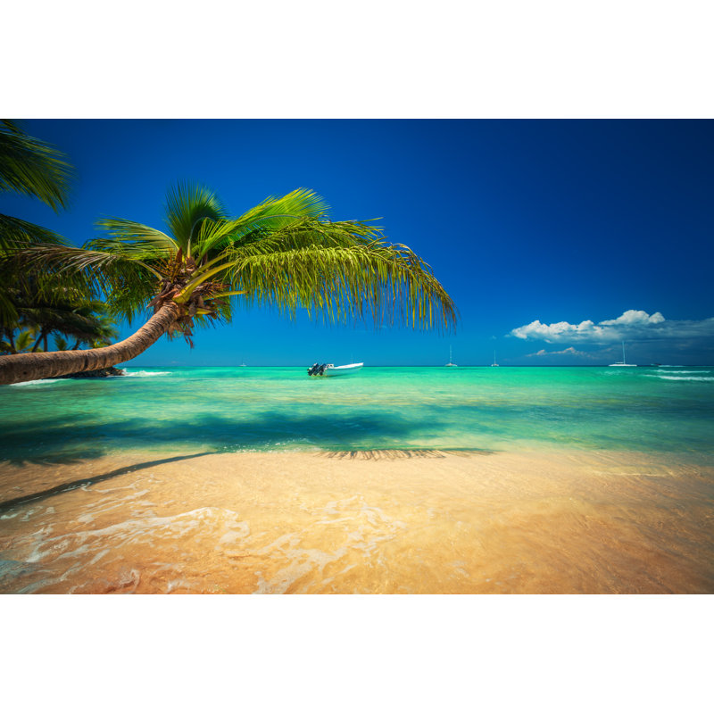 Bay Isle Home™ Exotic Beach - Wrapped Canvas Photograph | Wayfair