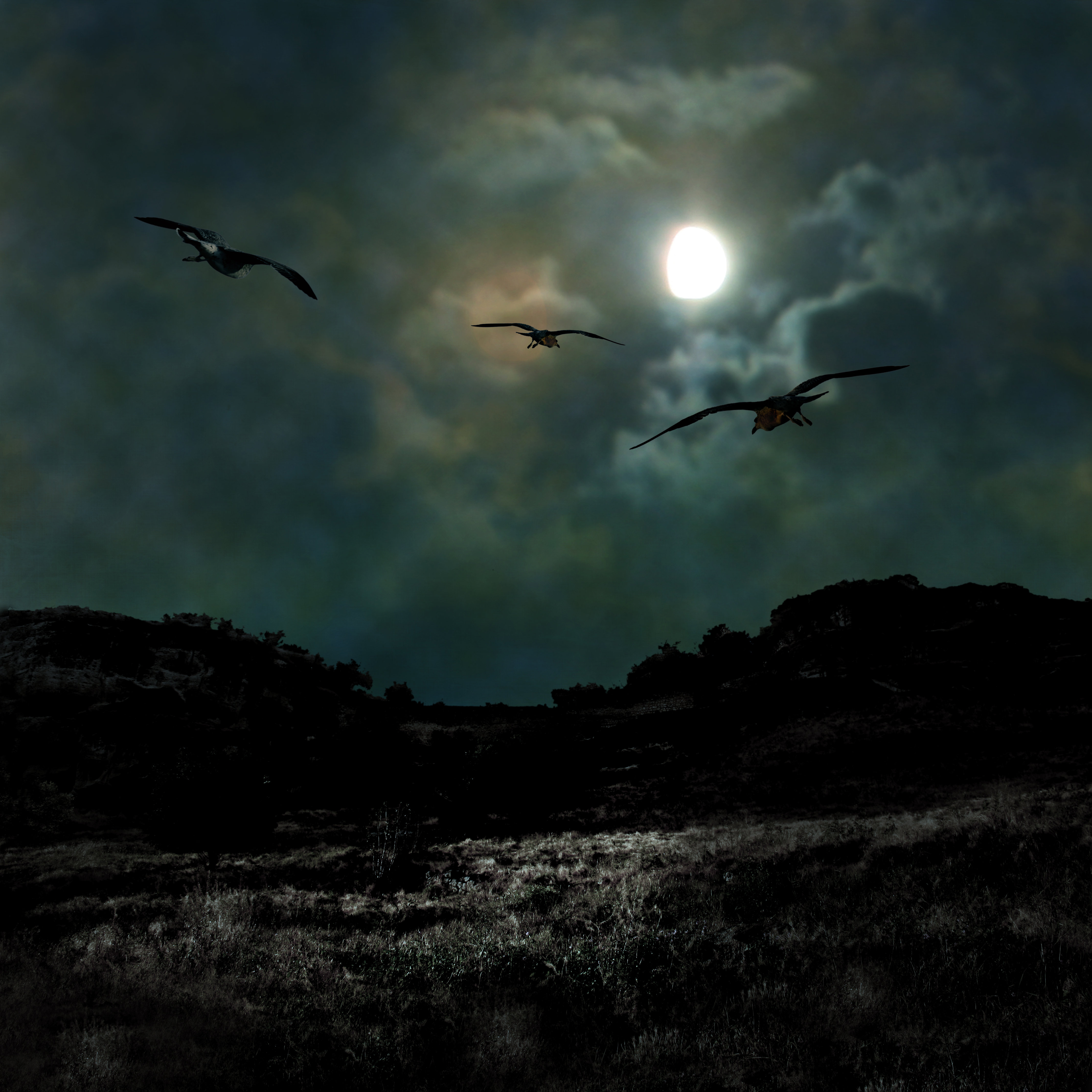 Hokku Designs Ominous Dark Night by Loraliu - Wrapped Canvas Photograph ...