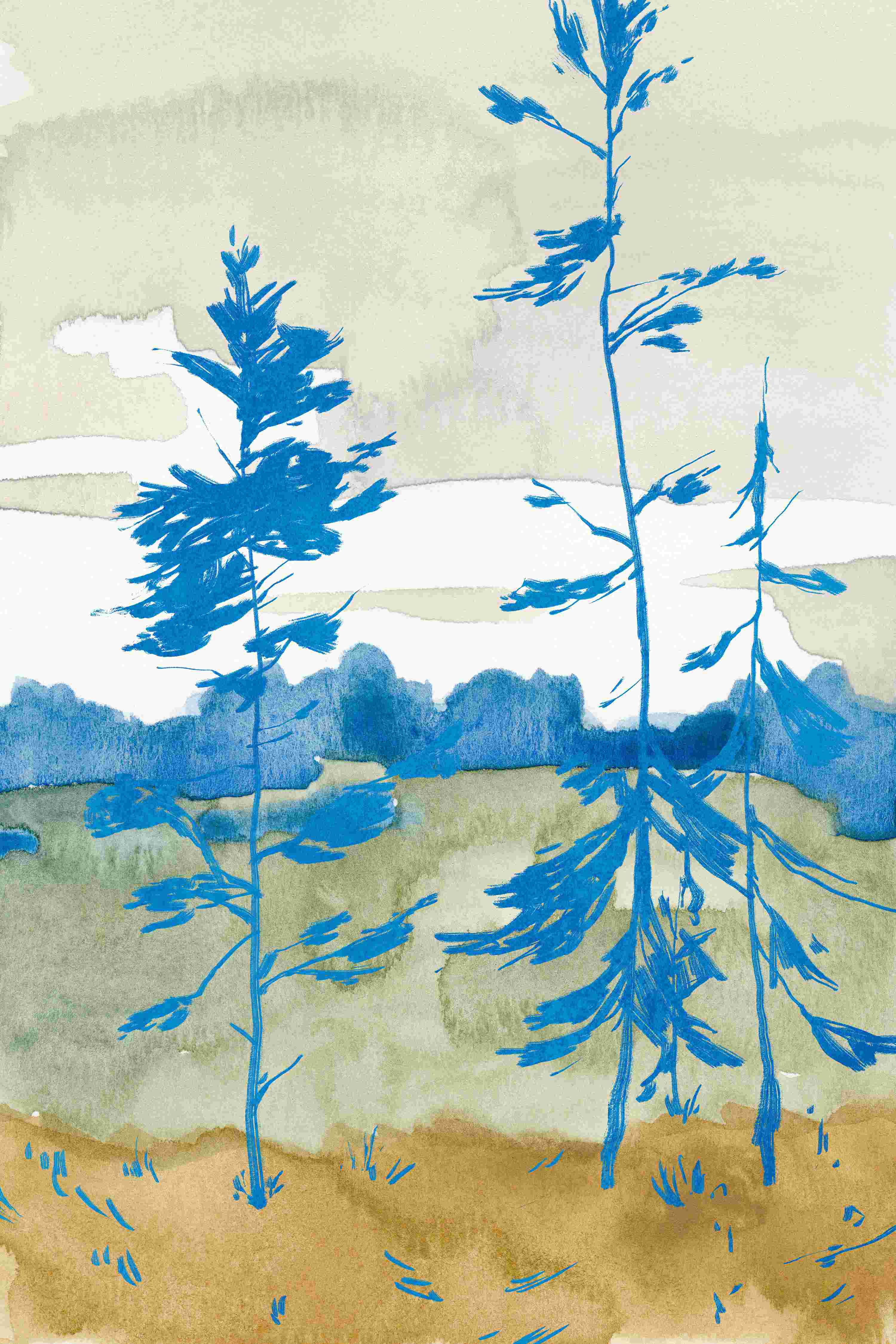 Wildon Home® Cerulean Spruce II by Jacob Green - Wrapped Canvas Print ...