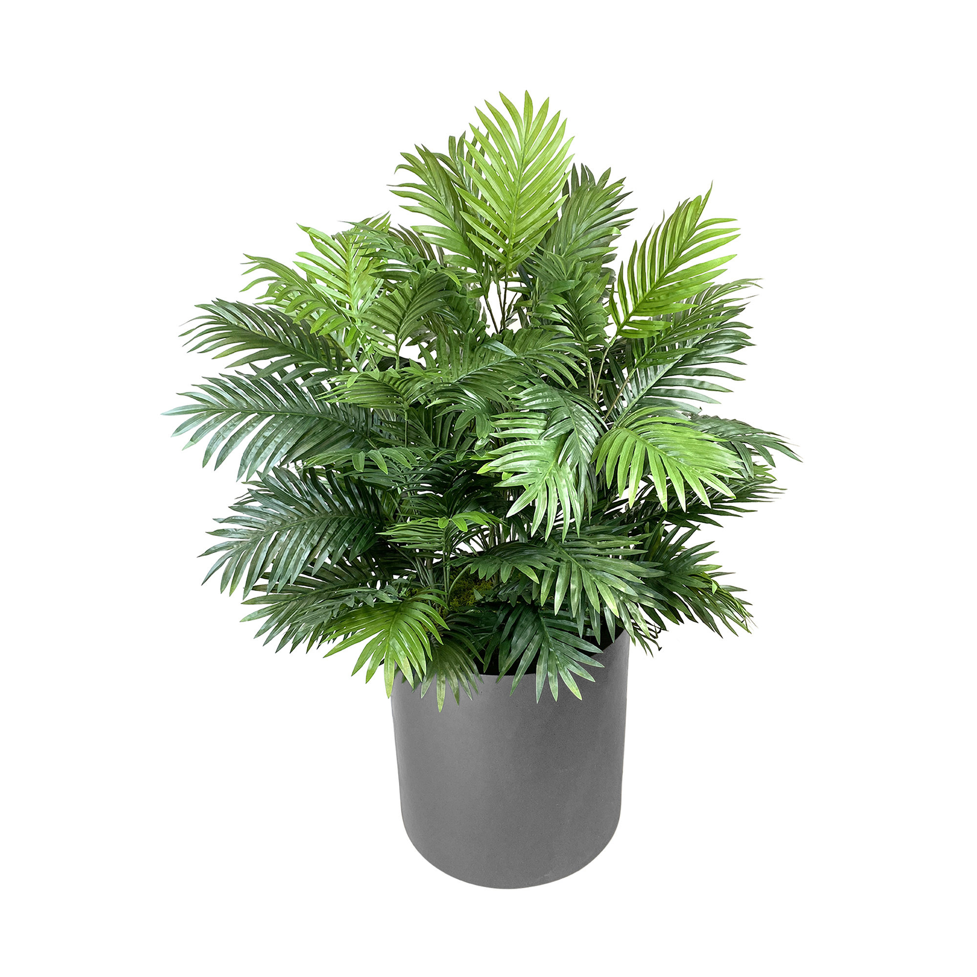 Creative Displays, Inc. 4' Areca Palm Bush In Fiberstone Planter | Perigold