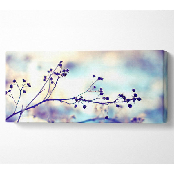 Ebern Designs Spikey Twigs With Berries - Wrapped Canvas Print ...