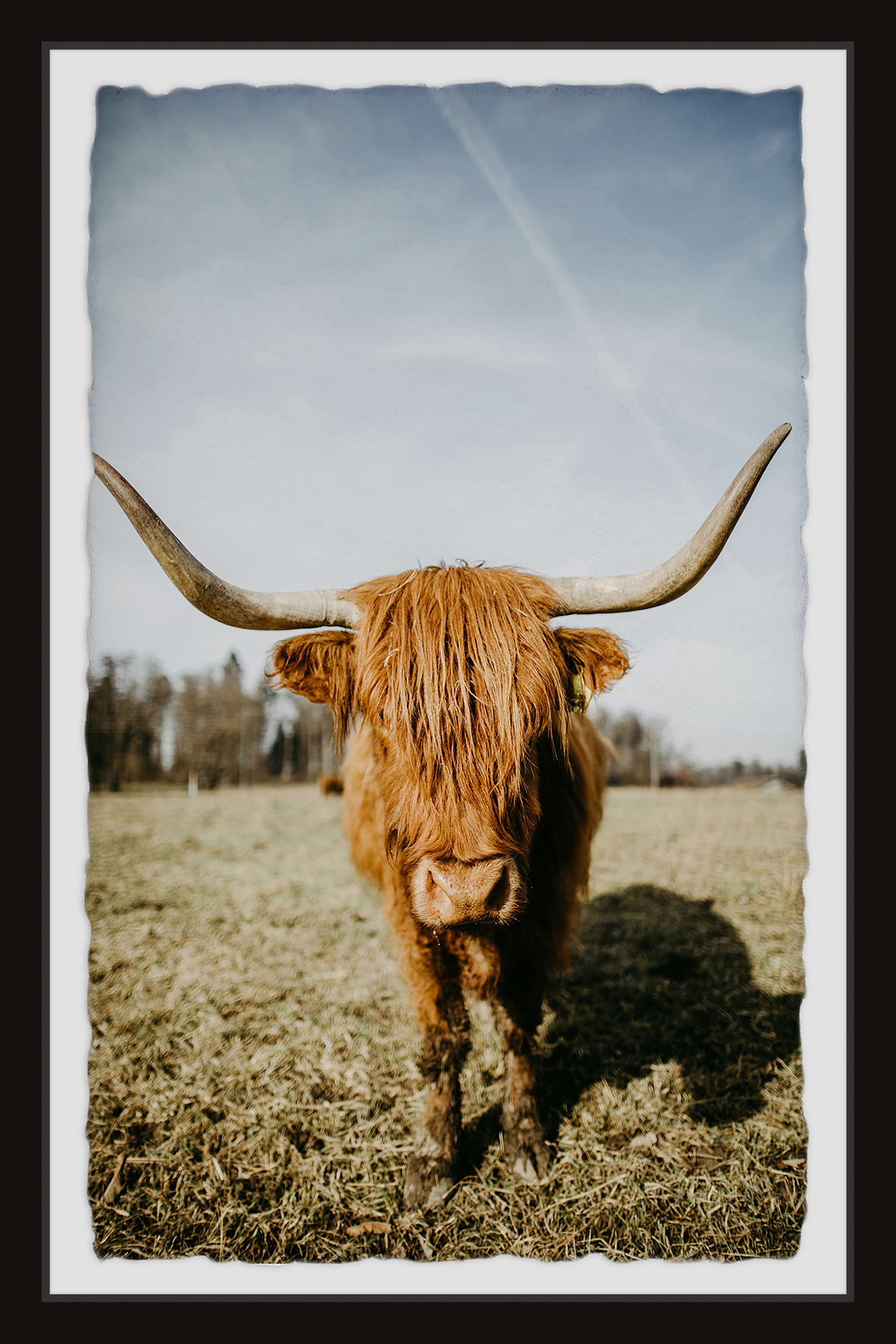 Natur Pur Sweeping Horns Triptych B - 41X61 | Wayfair.co.uk