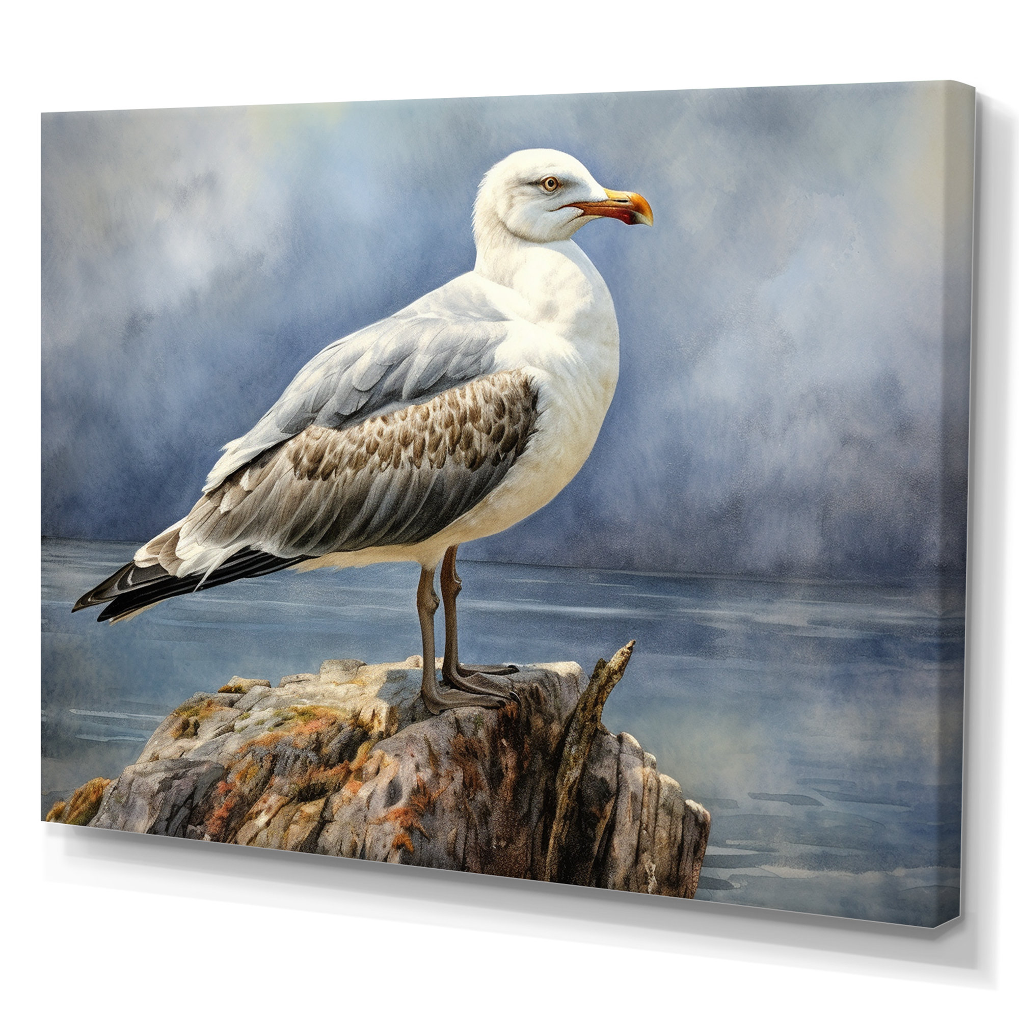 Highland Dunes Watchful Seagull I - Animals Canvas Print | Wayfair