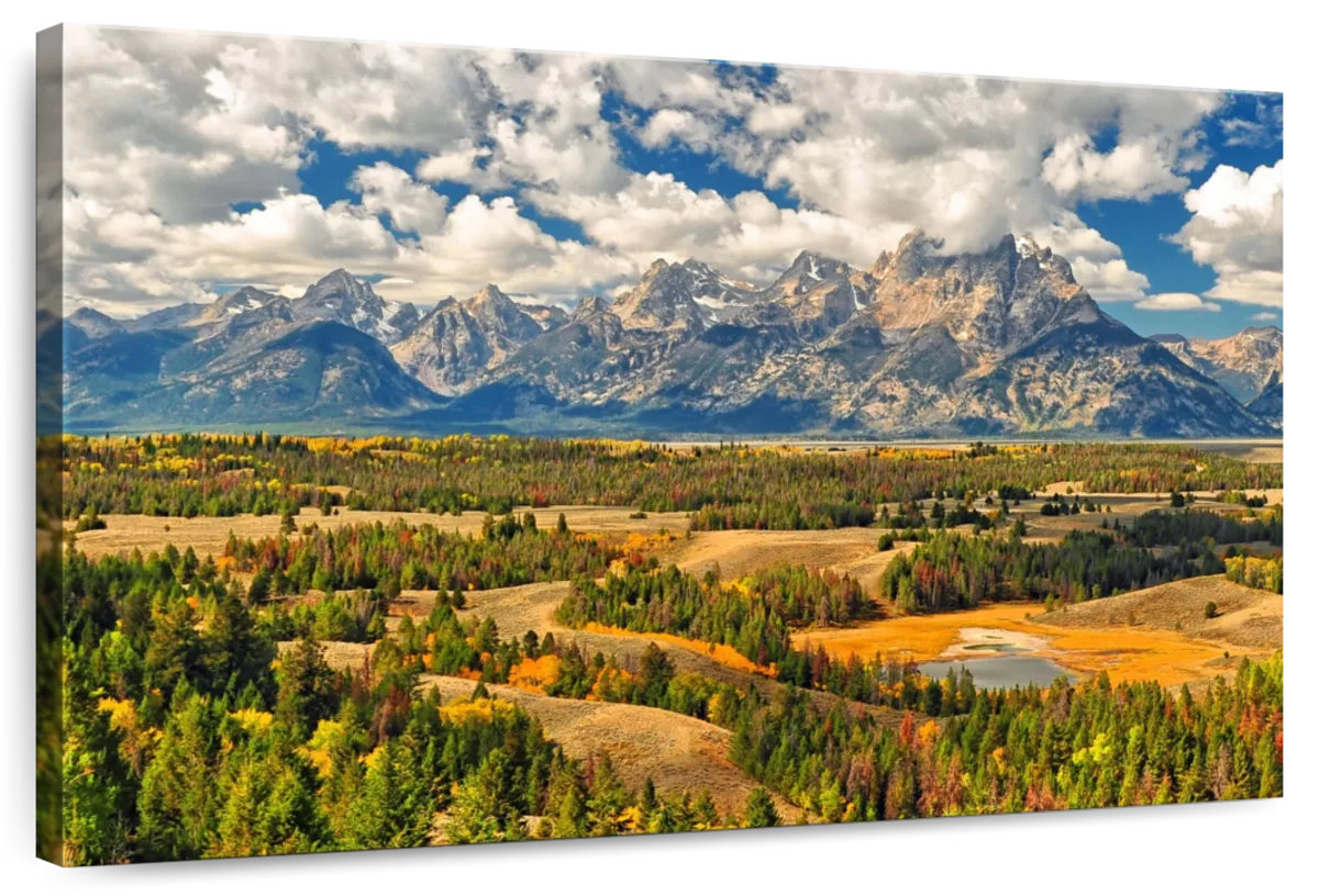 Millwood Pines Alvord Jackson Hole In Autumn | Wayfair